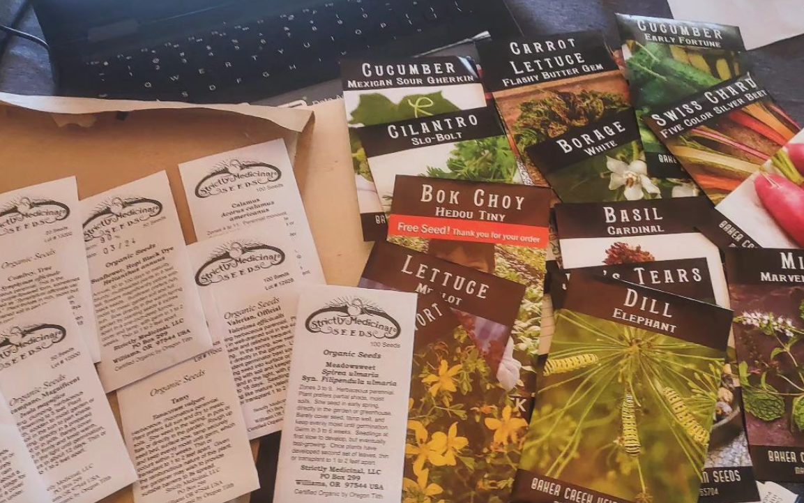 More Seeds - All Things Jennifer
